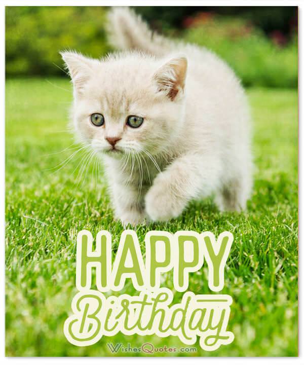 Happy Birthday Friend 100 Amazing Birthday Wishes For Friends Happy Birthday Friend 100 Amazing Birthday Wishes For Friends