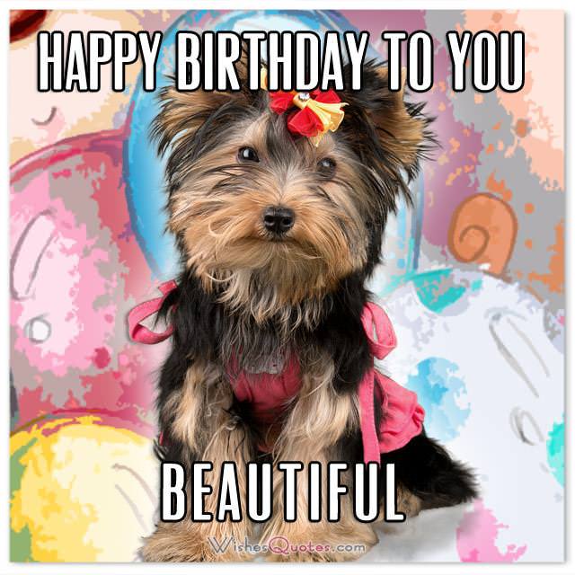 The Funniest And Most Hilarious Birthday Messages And Cards The Funniest And Most Hilarious Birthday Messages And Cards