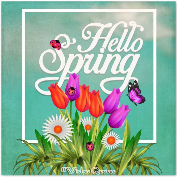 Uplifting Spring Quotes And Sayings To Welcome The Season