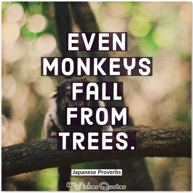 80 Japanese Proverbs And Quotes Full Of Wisdom By WishesQuotes