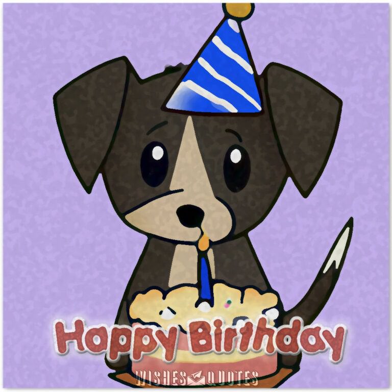 Amazing Birthday Wishes And Cute Cards For Dog Lovers